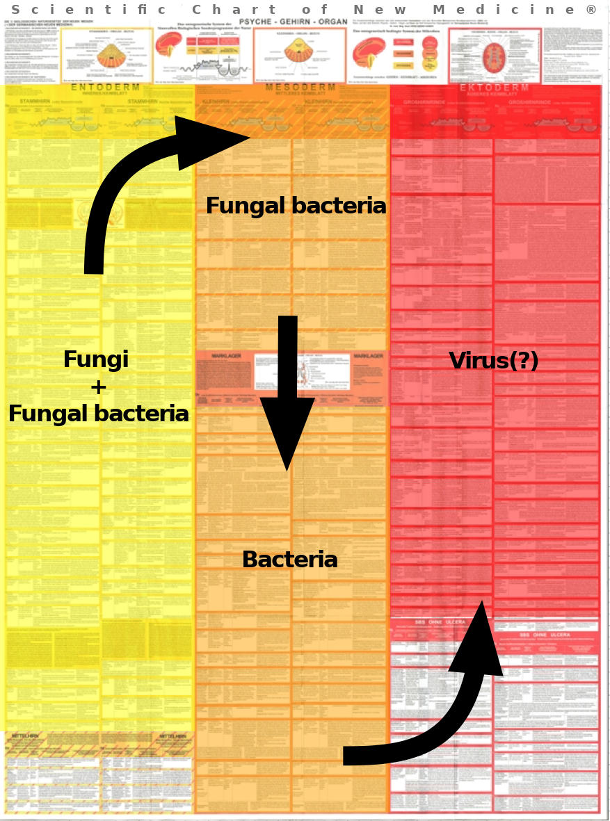 graphics-chart-microbes - Akademie für Germanische Heilkunde